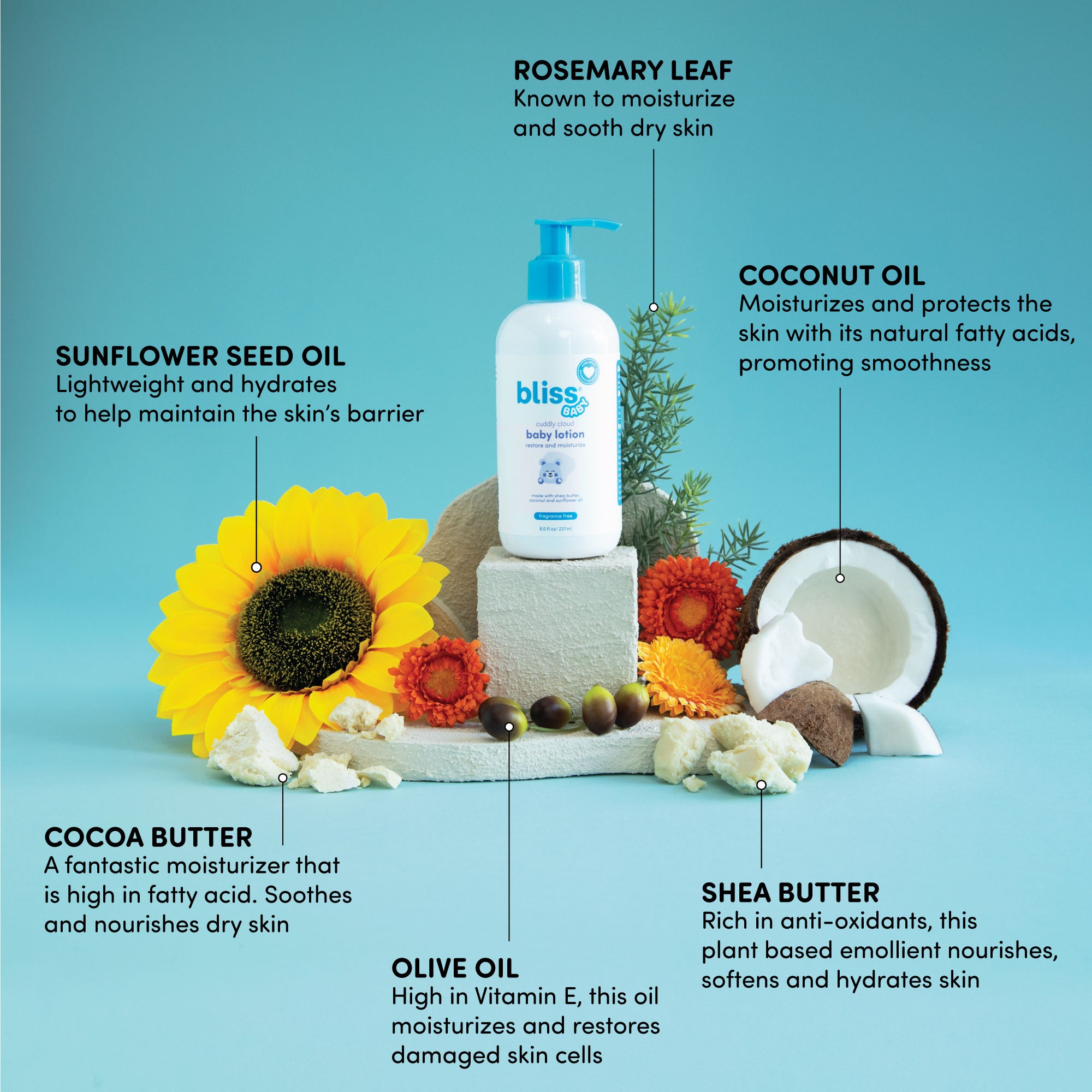 Cuddly Cloud - Baby Lotion – bliss baby