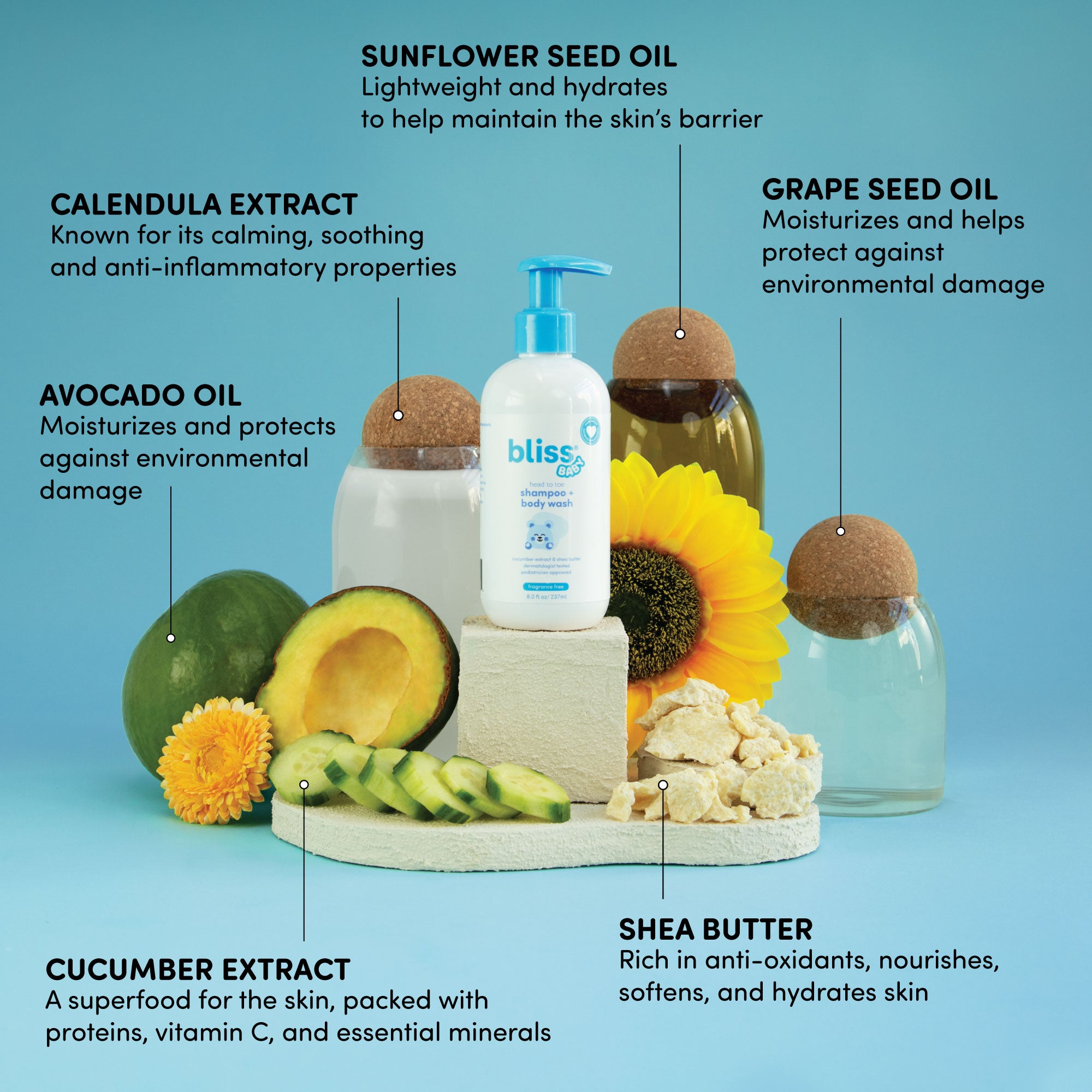 Head to Toe - Hair + Body Wash – bliss baby